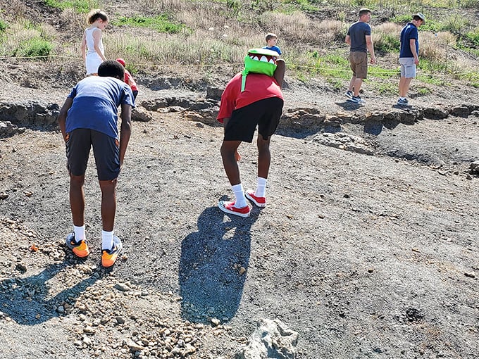 Visitors carefully examine the soil for prehistoric treasures during a public dig program. Every scoop of Maryland dirt holds potential for discovery!