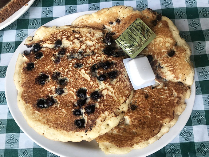These blueberry pancakes aren't just breakfast, they're an edible sunrise—golden-brown with bursts of purple-blue joy.