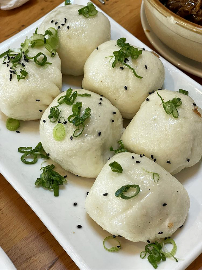 Panfried pork buns: where cloud-like dough meets savory filling in perfect harmony. These pillowy delights might just ruin all other buns for you—consider yourself warned.