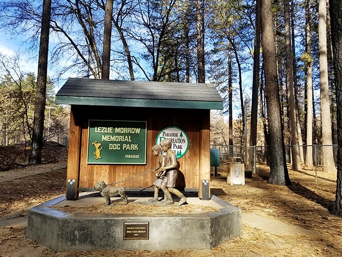 Even four-legged residents get their slice of paradise. The Lezlie Morrow Memorial Dog Park offers canine citizens a place to socialize and stretch their legs.