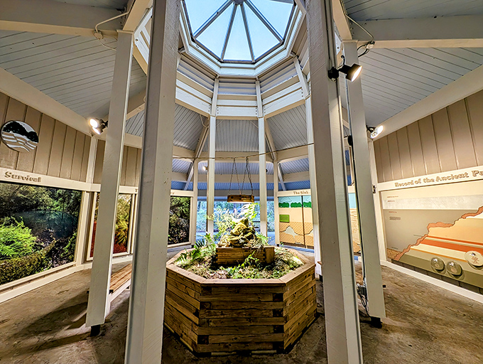 The visitor center's octagonal design mirrors the sinkhole itself, offering a light-filled space where geology meets imagination.