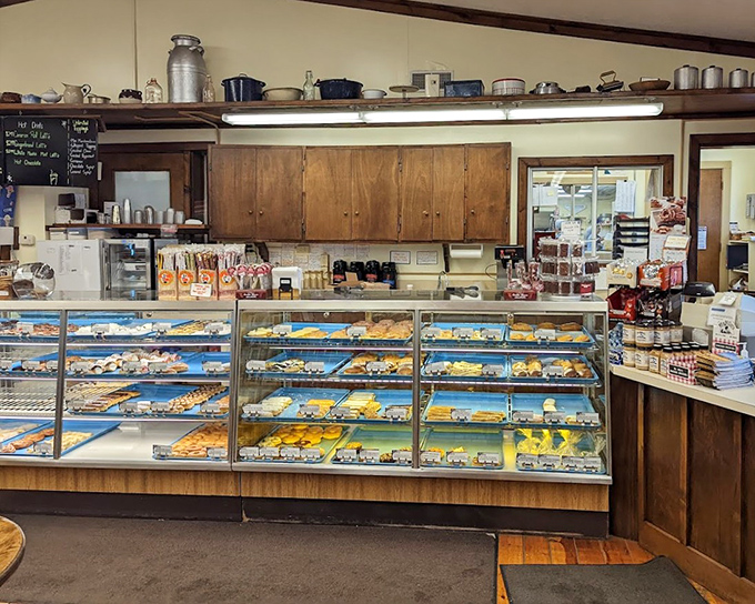 The display case&mdash;where dreams are stored at room temperature. Each shelf offers a different path to happiness, all equally valid.