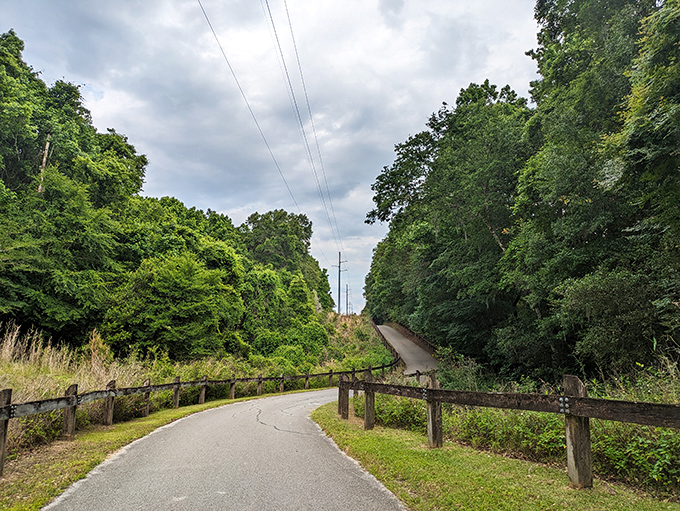 The path less photographed. This unassuming trail leads to views that make theme park admission prices seem like highway robbery.