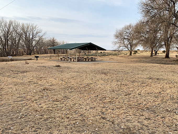 This pavilion provides shade and shelter where you can contemplate life's mysteries, like why you didn't visit sooner.