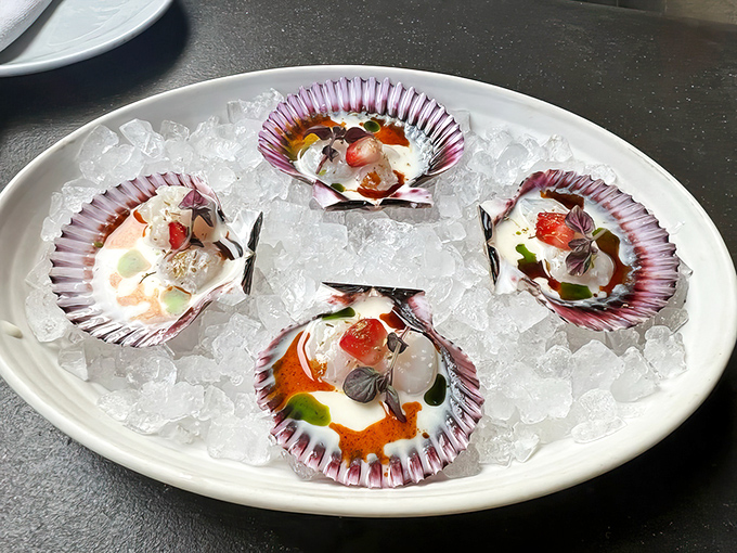 Scallop crudo nestled in seashells on ice&mdash;ocean jewels transformed into edible art that tastes like the Mediterranean's finest postcard.