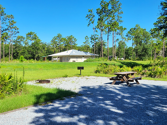 Picnic paradise found! This spot offers the perfect setting for sandwiches that somehow taste better when eaten outdoors.