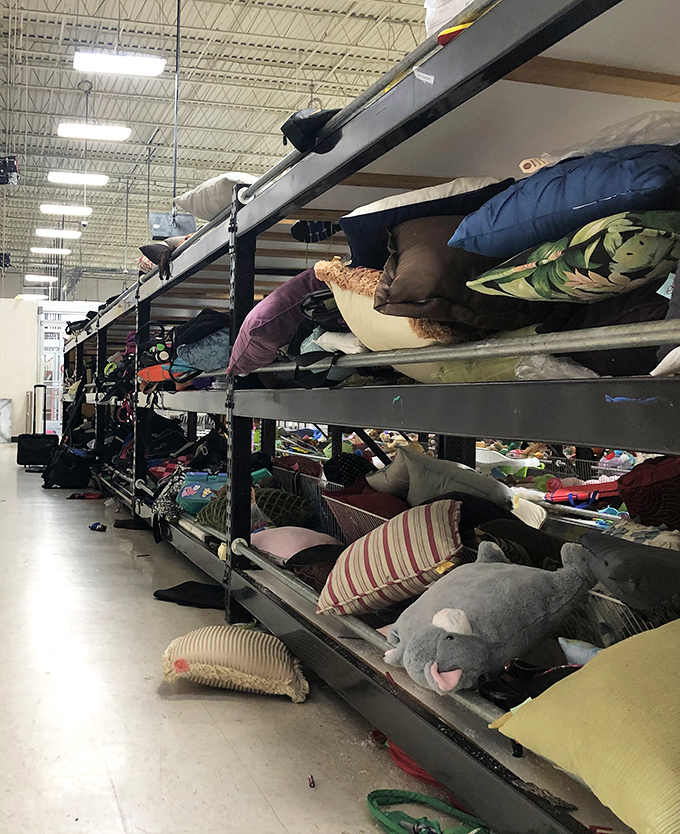 The pillow promised land. From practical to whimsical, this stuffed menagerie offers comfort for every couch, bed, and fort-building adventure.