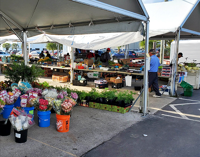 Farm-fresh produce creates a rainbow of possibilities under white tents&mdash;proof that not all treasures at flea markets are secondhand.