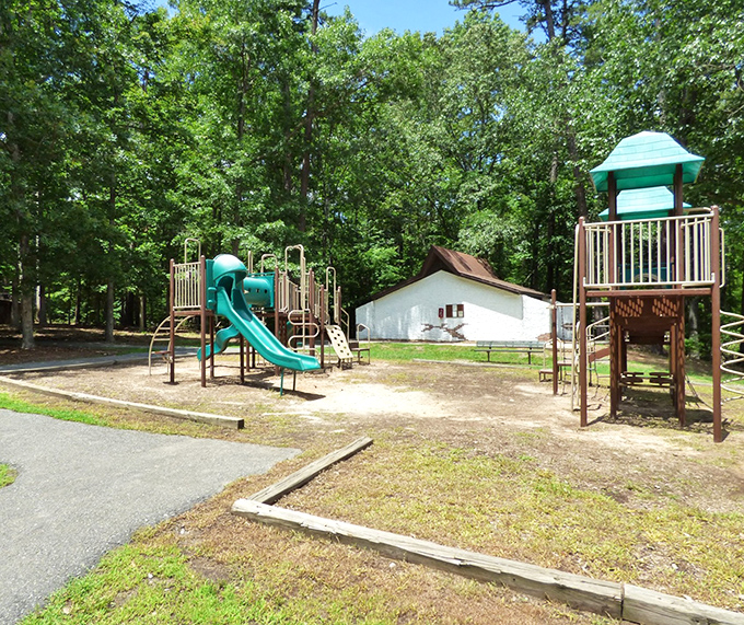 The playground at Kings Mountain - where kids burn energy and parents silently thank the genius who invented slides and jungle gyms.