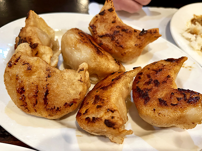 Golden-bottomed potstickers with perfectly crimped edges – the kind that make you wonder why you ever settled for less.