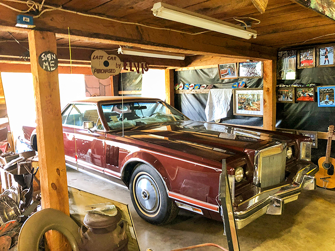 Not all treasures at Old Car City are left to nature's devices. This pristine Lincoln Continental sits regally indoors, like automotive royalty among commoners.