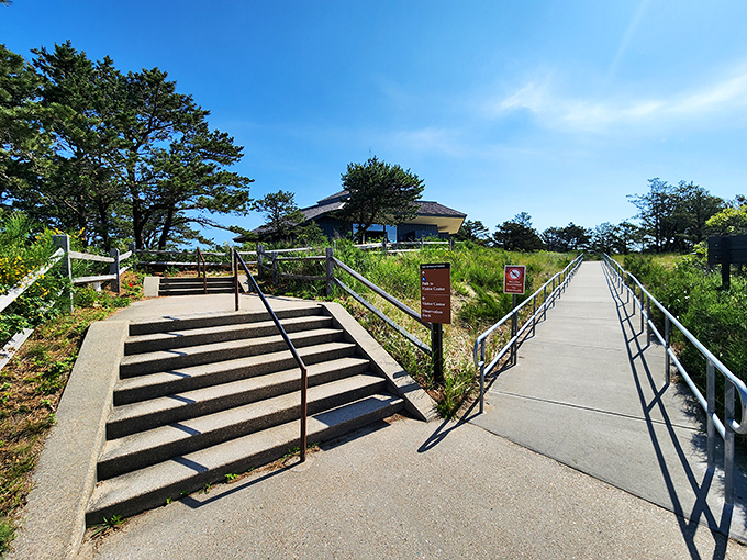 The Province Lands Visitor Center sits ready to explain why these dunes are worth your attention.