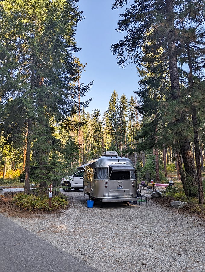 Airstream dreams among evergreen giants. Lake Wenatchee's campsites offer that perfect balance&mdash;wilderness immersion with just enough civilization to brew morning coffee properly.