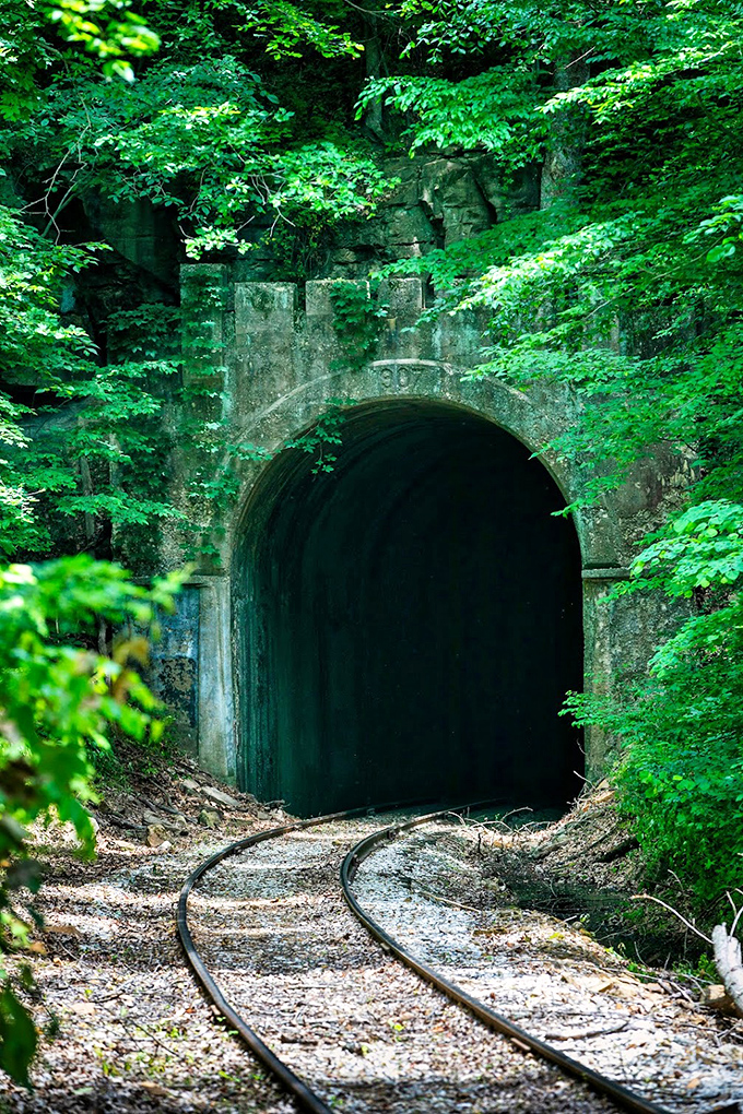 Nature reclaims the edges of the Burton Tunnel entrance, creating a mysterious portal where daylight surrenders to darkness momentarily.