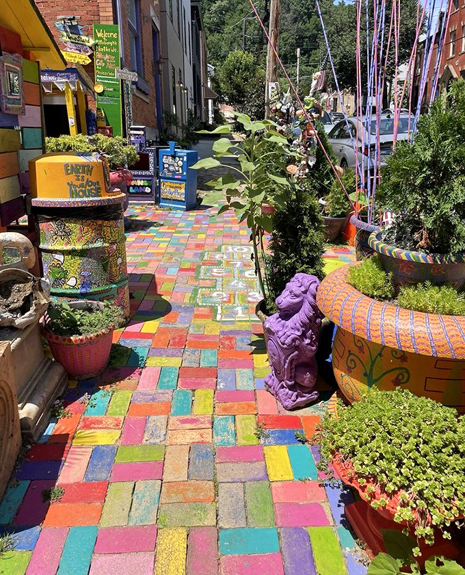 The rainbow brick road doesn't lead to Oz&mdash;it leads everywhere within this psychedelic sanctuary of unbridled imagination.