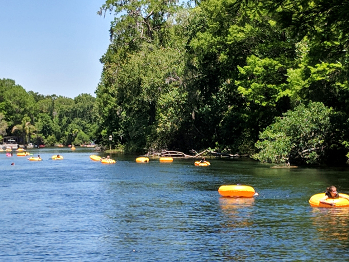 The world's laziest form of transportation is also its most joyful &ndash; tubing down Rainbow River is like a conveyor belt of happiness.