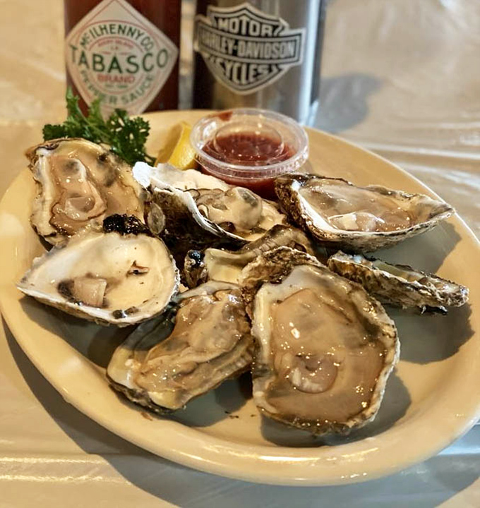 These oysters aren't just fresh &ndash; they're practically still gossiping about what happened in the bay this morning.