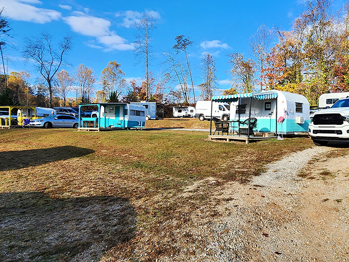 RVs and cozy cabins offer front-row seats for those who like their movies with extra comfort.