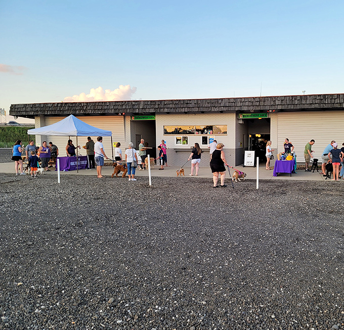 A special event brings out four-legged friends and their humans to the concession area. Even dogs appreciate the classics, especially with treats nearby.