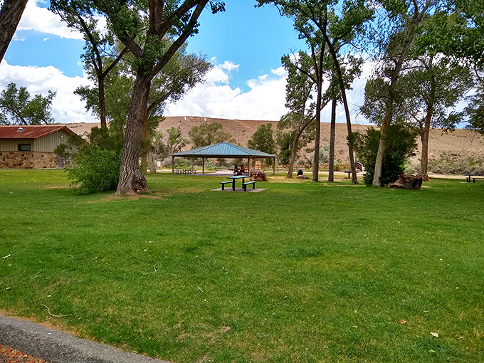 Riverbottom Park offers that quintessential Colorado experience: serene green spaces, mature shade trees, and mountain views that make even a simple picnic feel extraordinary.