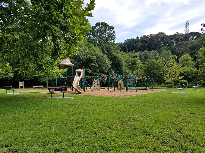 This neighborhood playground represents Charlottesville's family-friendly side &ndash; where grandparents bring grandkids for fresh air adventures that cost exactly zero dollars.