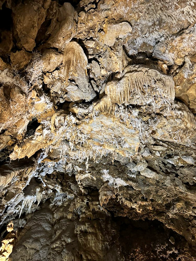 Mother Nature's jewelry collection on full display. These delicate formations look like they might tinkle like wind chimes if you could touch them (don't!).