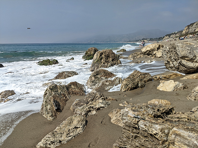 Nature's sculpture garden emerges at low tide, where waves have spent millennia crafting rock formations that would make Michelangelo nod in approval.