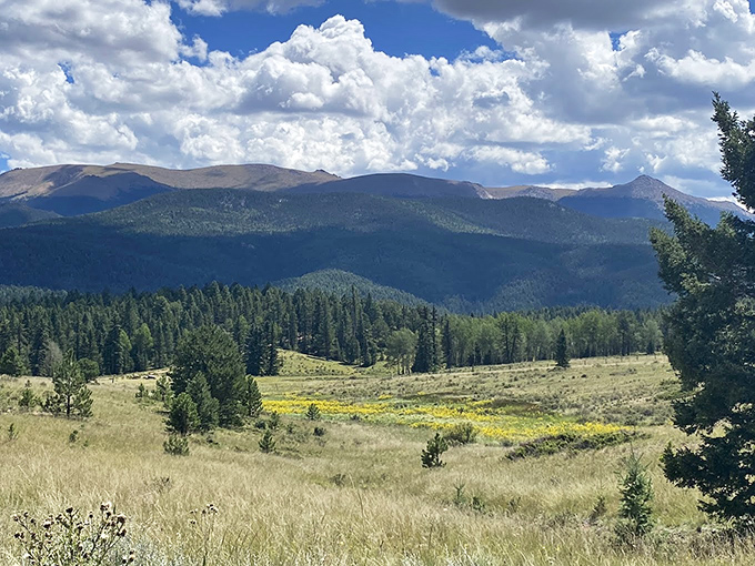 Wide open spaces that make your problems feel tiny. These rolling meadows and distant peaks offer perspective you can't find in a self-help book.