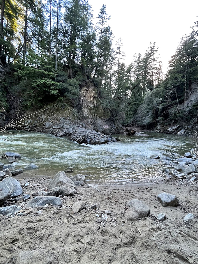 The San Lorenzo River carves its patient path through rock and time. Nature's version of a spa day awaits brave swimmers.