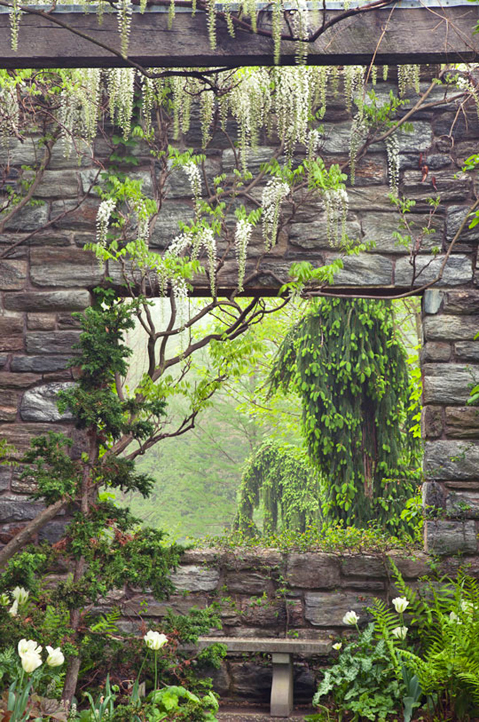 The Ruin Garden: where decay never looked so deliberately gorgeous, like controlled chaos with a graduate degree.