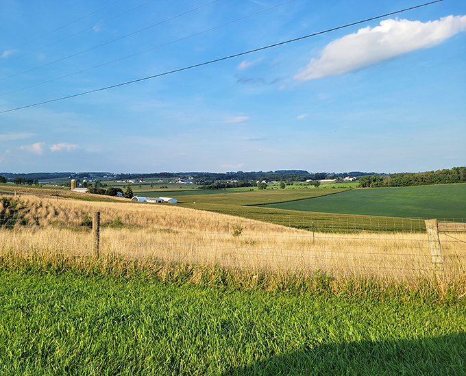 The patchwork quilt effect of these rolling fields isn't by accident &ndash; it's centuries of agricultural wisdom creating a landscape that's both productive and breathtaking.