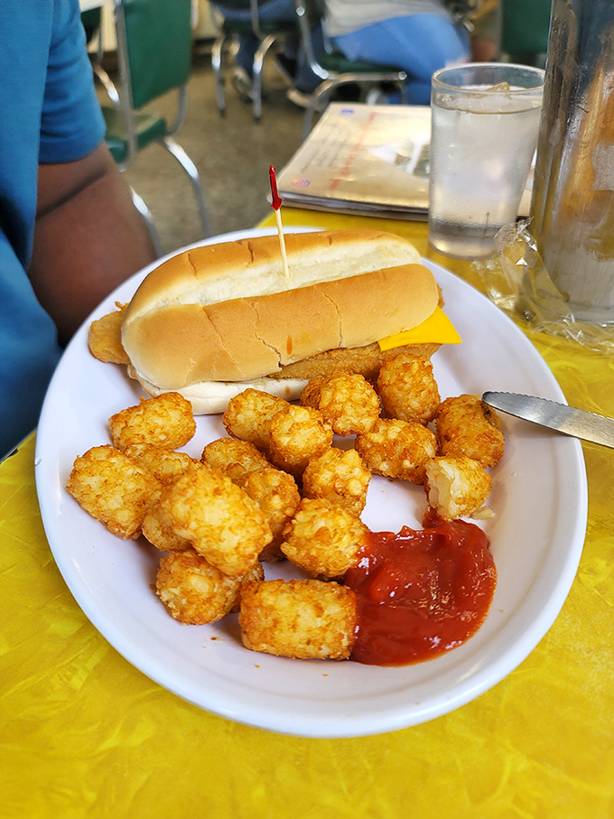 A sandwich that doesn't need pretension, paired with golden tater tots that crunch like childhood memories. Simple perfection on a white plate.
