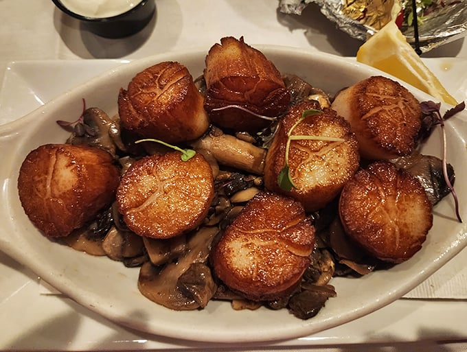 Golden-brown scallops nestled among mushrooms &ndash; little islands of buttery perfection that would make Neptune himself request seconds.