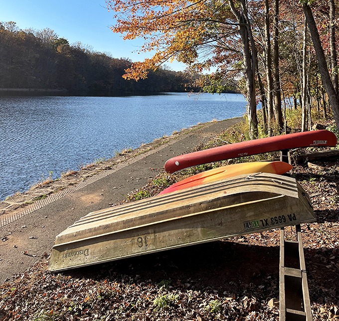 Boats waiting patiently for their next adventure along the shoreline. Like loyal dogs, except they don't eat your shoes.