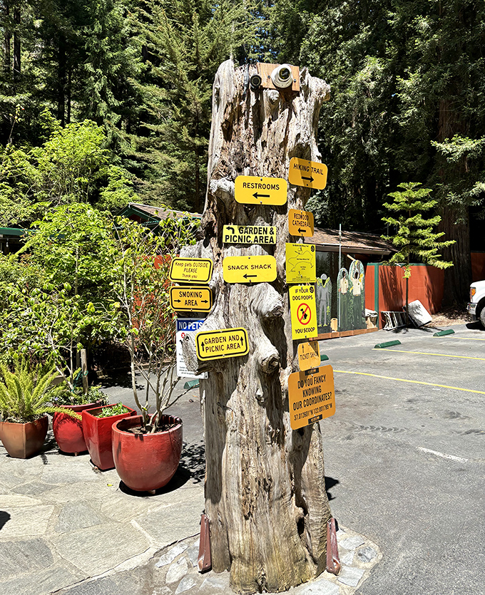 This whimsical signpost serves as the Mystery Spot's information center, with yellow arrows pointing visitors to all essential facilities. Organization amid chaos!
