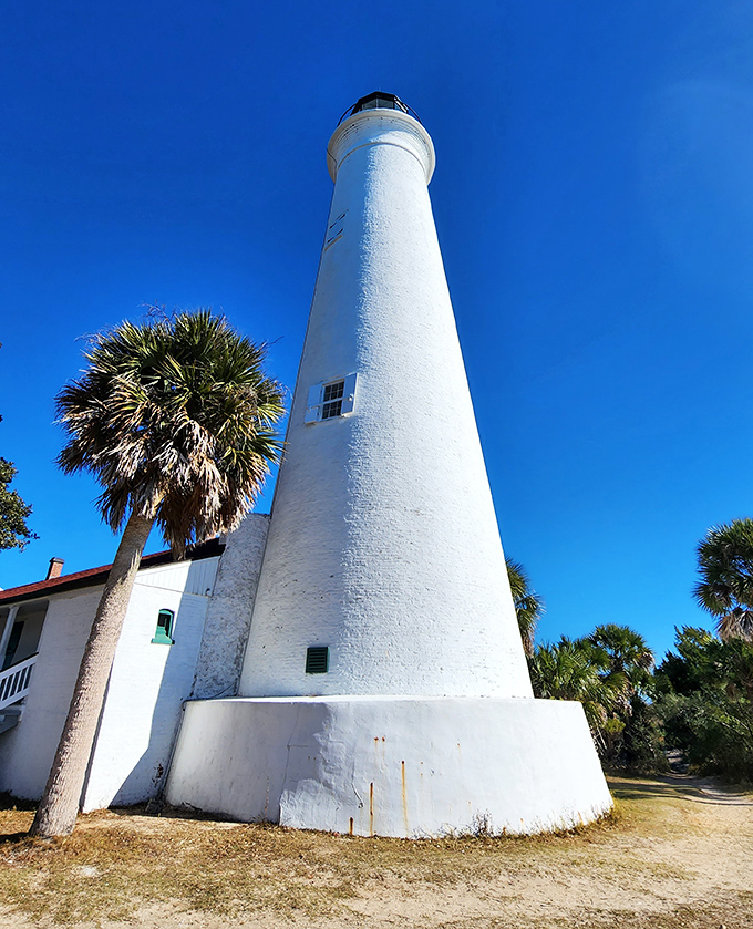 Standing tall since 1842, St. Marks Lighthouse has guided sailors home through hurricanes, wars, and the relentless march of time.