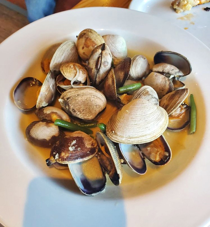 Fresh clams swimming in aromatic broth make every messy finger worth the inevitable clothing casualties.