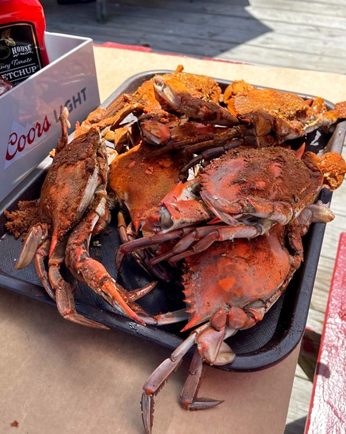 Steamed crabs dusted with Old Bay&mdash;nature's perfect food requiring tools, patience, and the willingness to look ridiculous while thoroughly enjoying yourself.