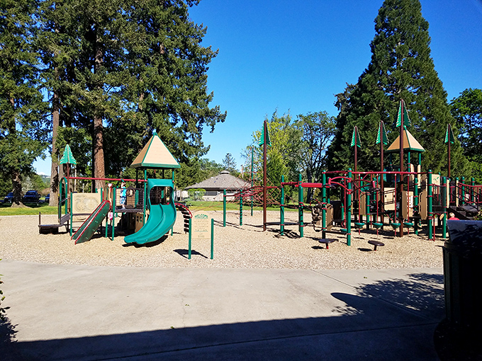 Stewart Park's playground offers grandparent heaven &ndash; tire the grandkids out here, and they'll actually nap when you get home.