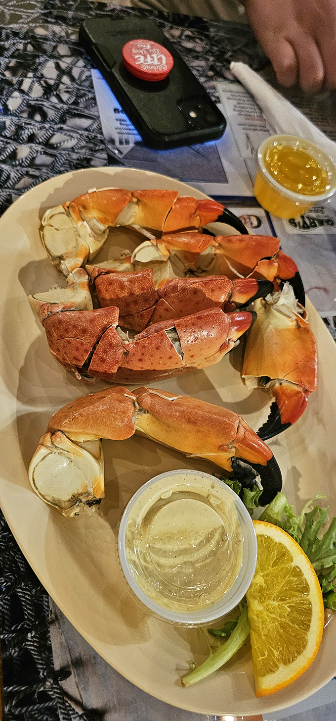 Stone crab claws arranged like a seafood still life&mdash;nature's perfect design for delivering sweet meat with just a hint of ocean breeze.