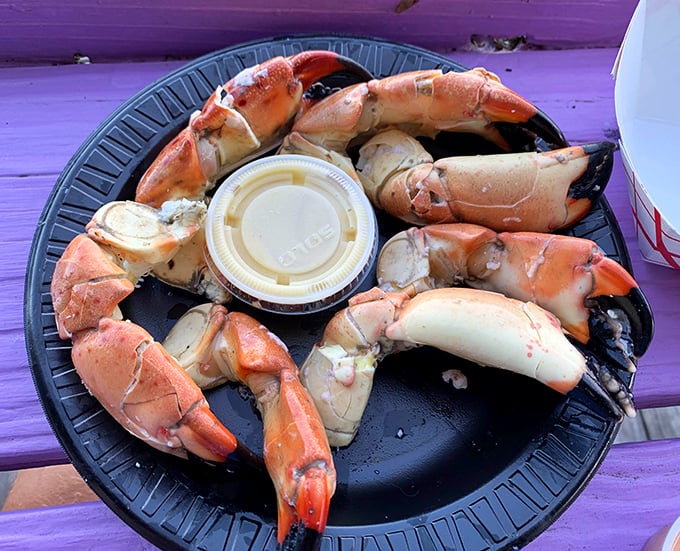 Stone crab claws arranged like a delicious clock face, with dipping sauce at high noon. Florida's answer to lobster, only sweeter.
