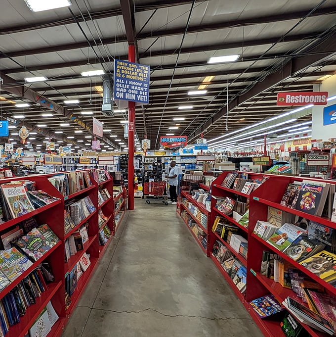Literary heaven for the budget-conscious. Red shelves packed with possibilities, where every aisle feels like a treasure hunt with words.