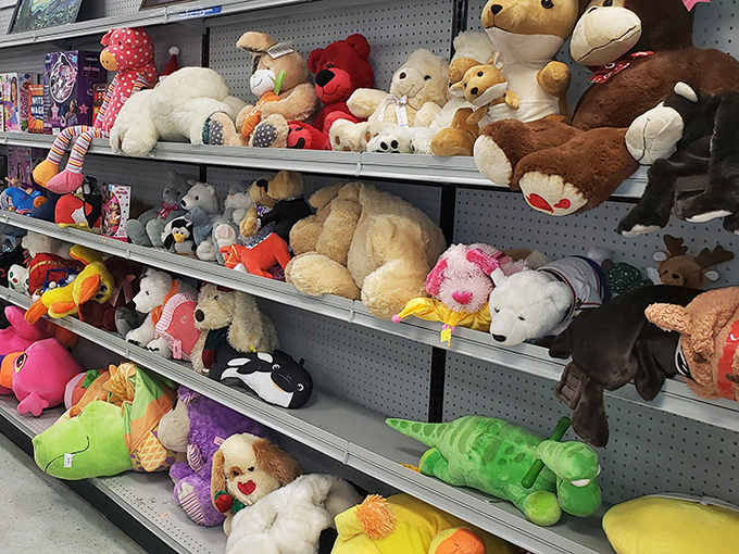 The stuffed animal section—where teddy bears, dinosaurs, and plush puppies wait patiently for their second chance at being someone's bedtime buddy.