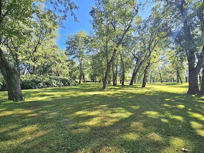 Sun-dappled clearings where trees stand sentinel around emerald lawns. The perfect spot for a picnic or an afternoon nap.