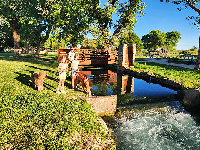 Golden hour magic transforms an ordinary spring visit into something worthy of postcards.