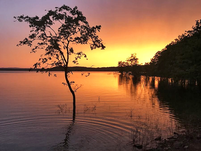 Nature puts on a nightly show at nearby lakes, painting the sky in impossible oranges and pinks that no filter could ever improve upon.