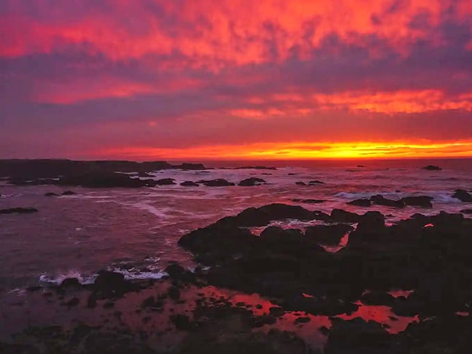 Mother Nature puts on a nightly light show that rivals anything Vegas has to offer, and this Fort Bragg sunset doesn't come with a cover charge.