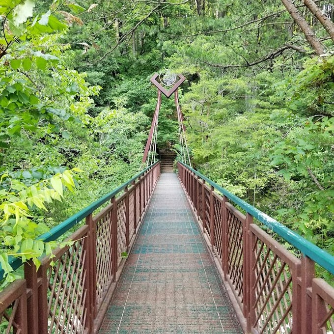 This suspension bridge isn't just a crossing&mdash;it's a portal into Hocking Hills' emerald heart. Halfway across, you're officially on vacation from reality.