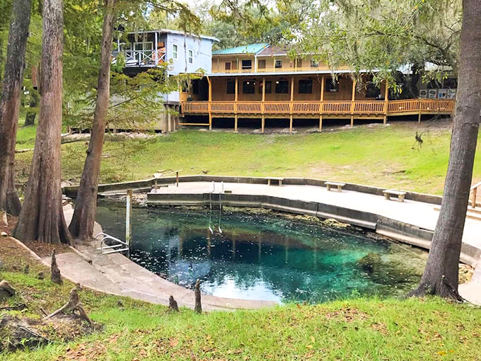 This spring-fed oasis at Suwannee River Rendezvous Resort offers nature's perfect swimming hole, complete with cypress knees and without the crowds of Florida's famous beaches.
