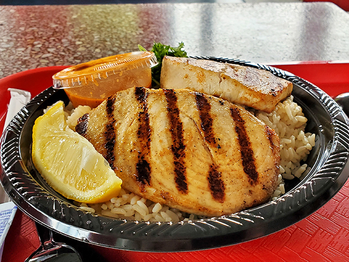 Perfectly grilled swordfish with precise char marks that would make a geometry teacher proud, served unpretentiously over rice with a bright lemon wedge.